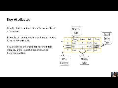 entity attributes (DBMS) - YouTube