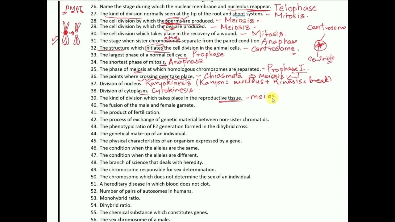 Cell Division & Genetics Part2: 25 Questions in 10 minutes - YouTube