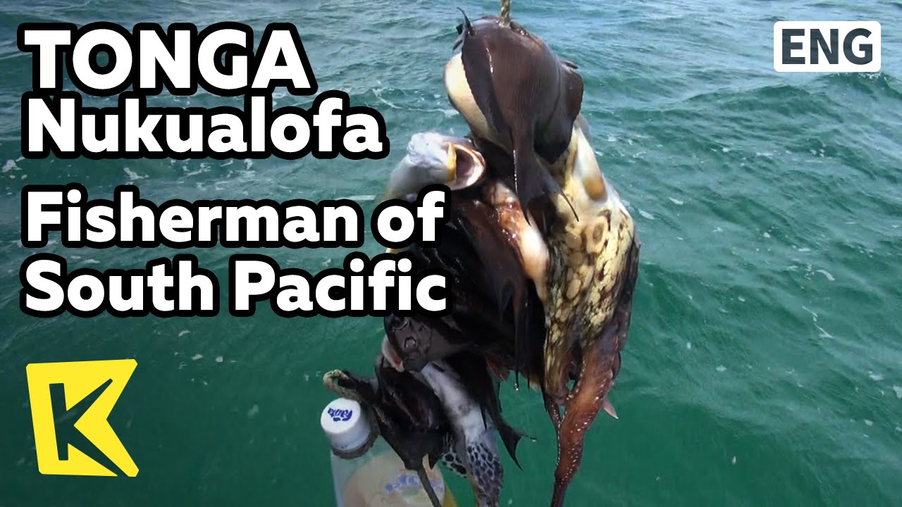 【K】Tonga Travel-Nukualofa[통가 여행-누쿠알로파]남태평양 어부의 작살 낚시/Fisherman of South ...