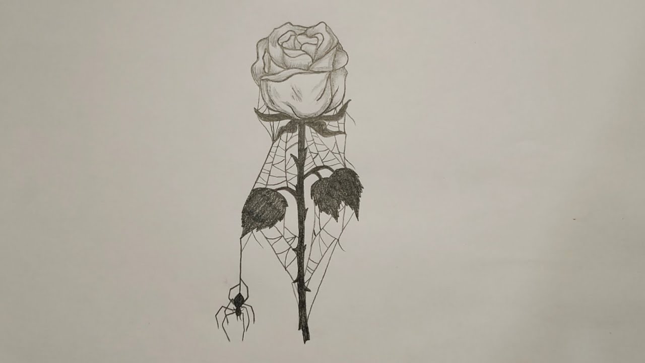 How to Draw Spider Web On Rose | Rose drawing with spider web - YouTube