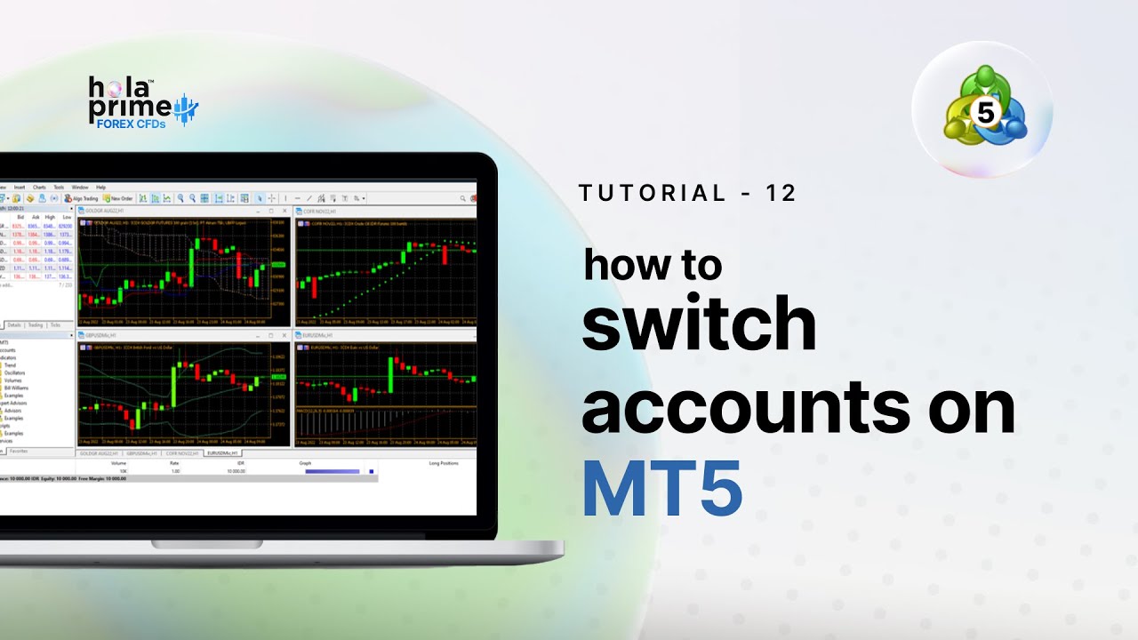 How to Switch Trading Accounts on MT5 – Quick & Easy | Hola Prime - YouTube