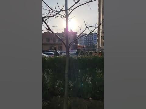 Почки лучшее лекарство! - YouTube
