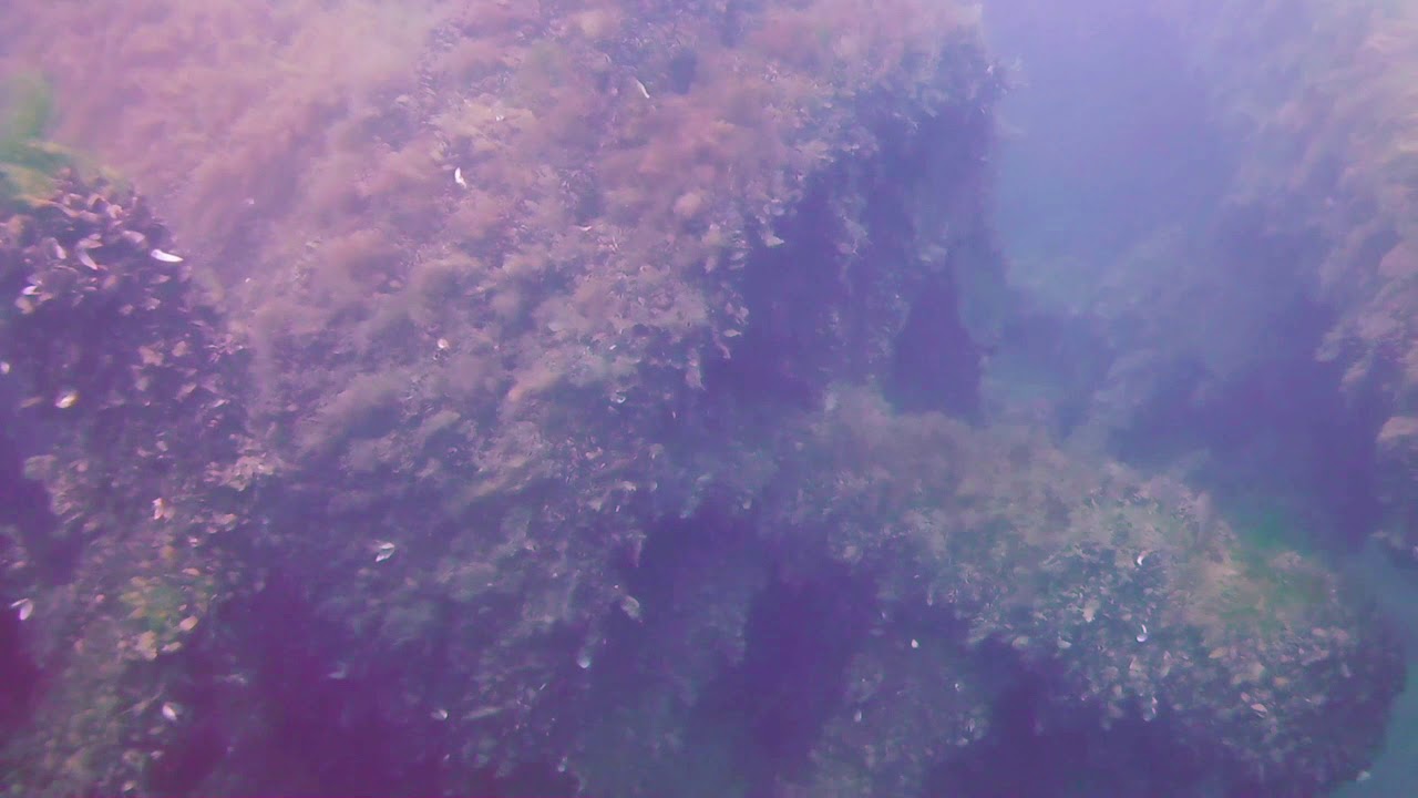 Lake Michigan Shipwreck SCUBA Diving, 8/19/2017 #3 - YouTube