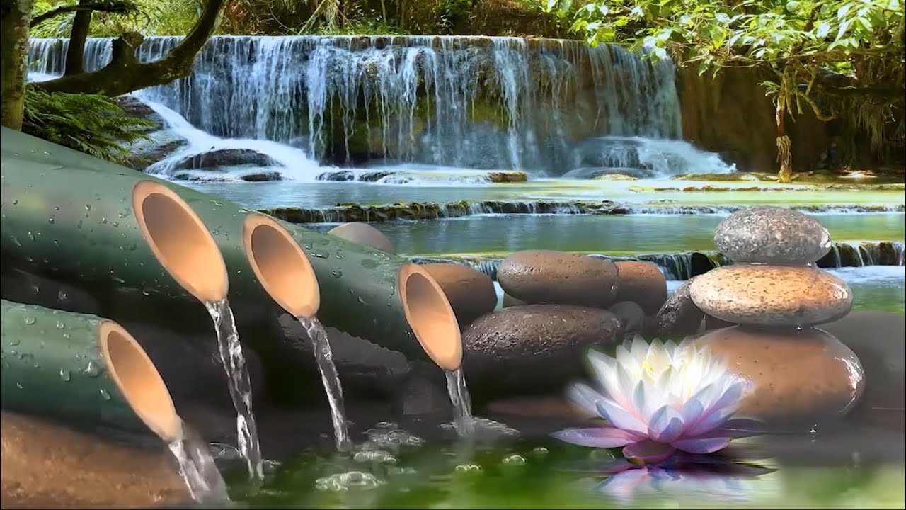 Relaxing music with nature sounds || Relaxing Music with Nature Sounds ...