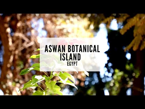 Aswan Botanical Island - Egypt Tourism - Visit Aswan - Botanical Garden Aswan
