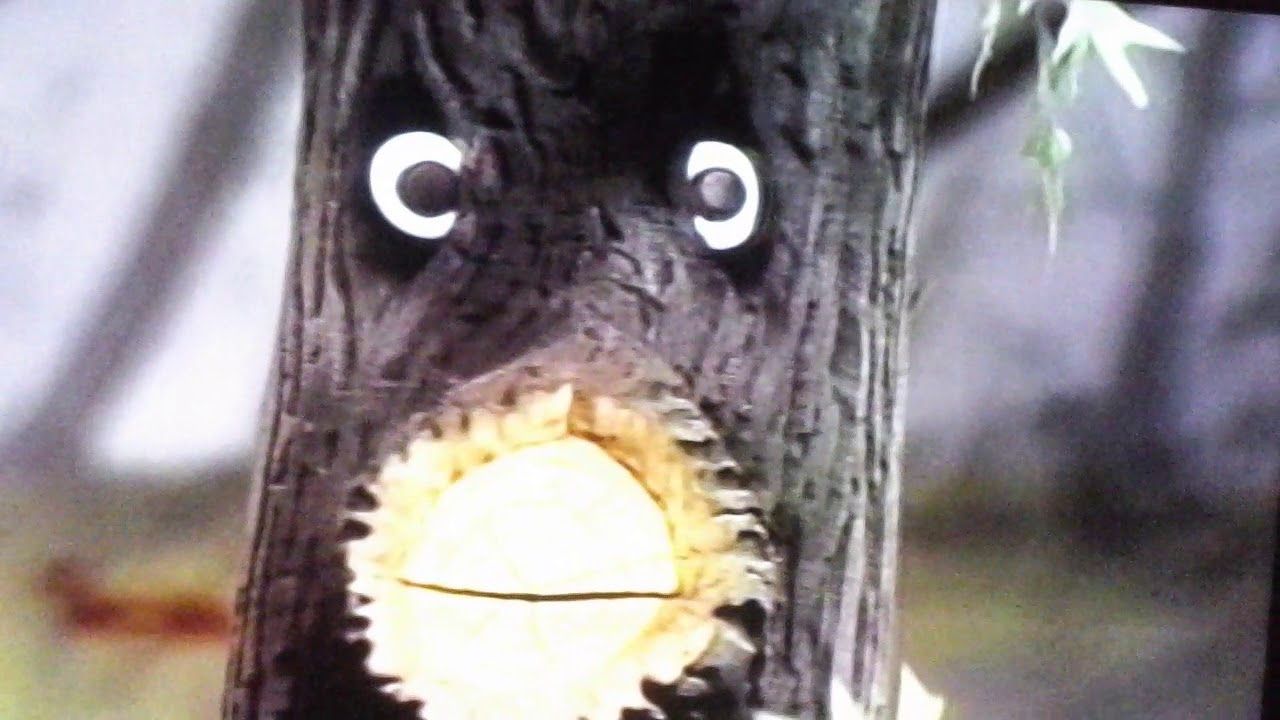 Classic Sesame Street: Here Is Your Life - Oak Tree (W/ The New Title ...