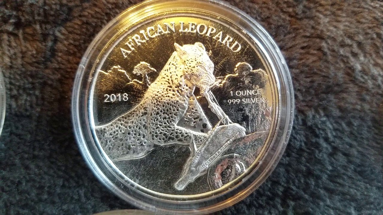 A Tale of 2 Leopards - 1oz silver coins - YouTube