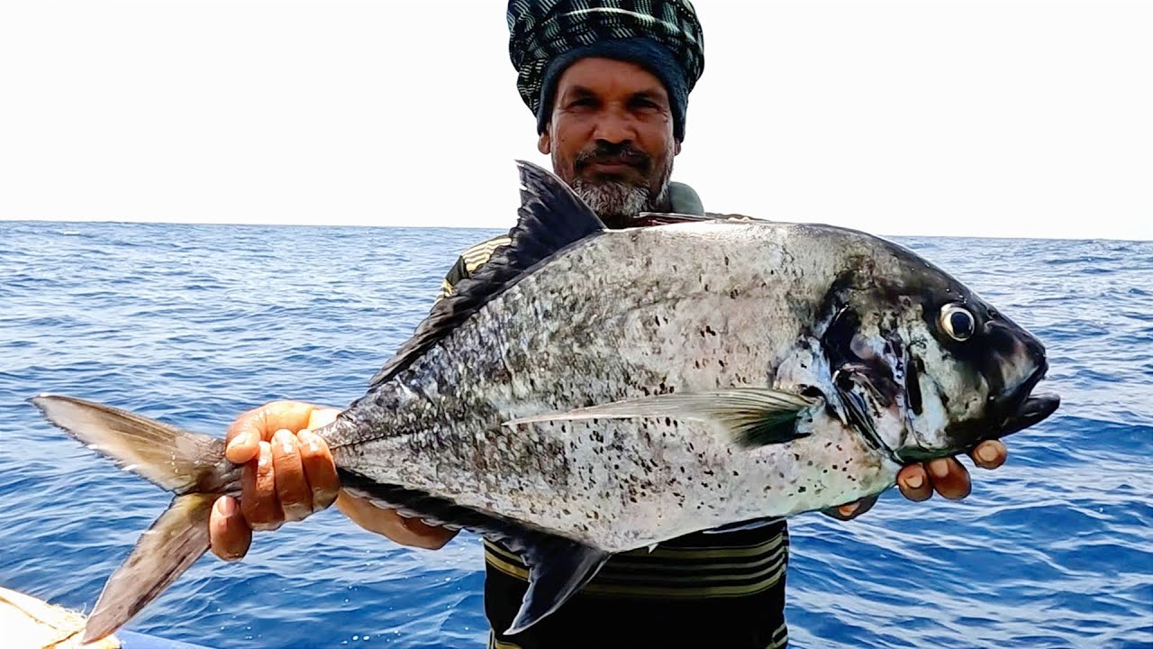 Back to Back Diamond Trevally Fish Caught in the Deep Sea - YouTube