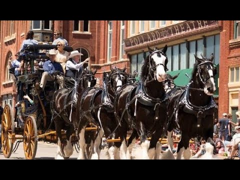 Watch: 93rd Annual 89ers Day Parade - YouTube