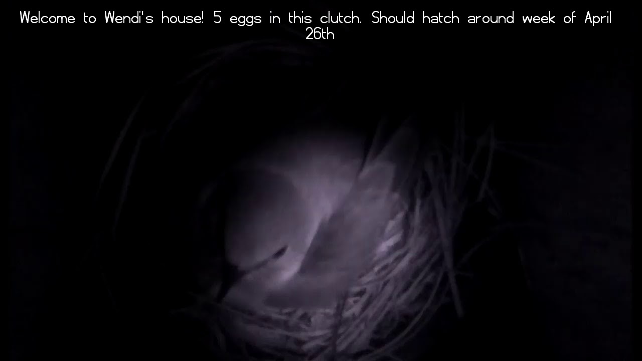 Welcome to Wendi's house! - YouTube