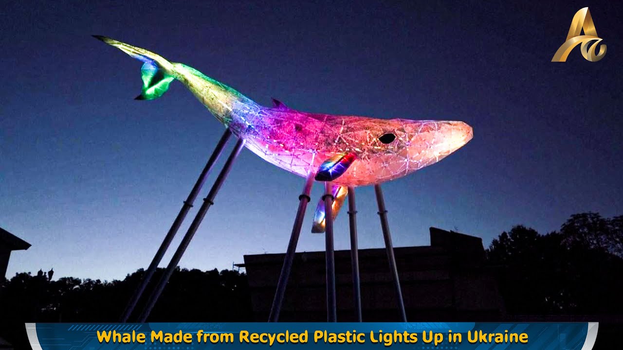 Whale Made from Recycled Plastic Lights Up in Ukraine - YouTube