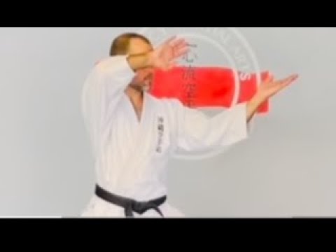 Pinan Yodan Okinawan Karate Kata - YouTube