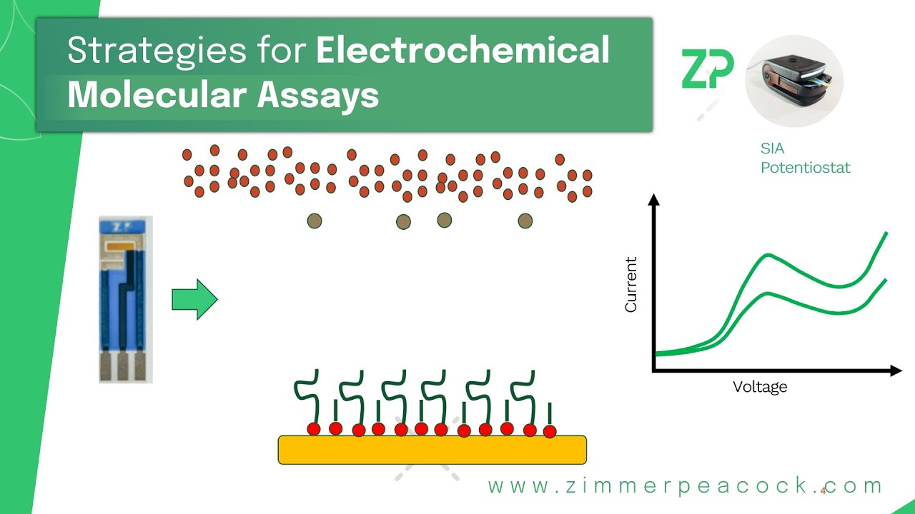 Strategies for Electrochemical Molecular Assays - YouTube
