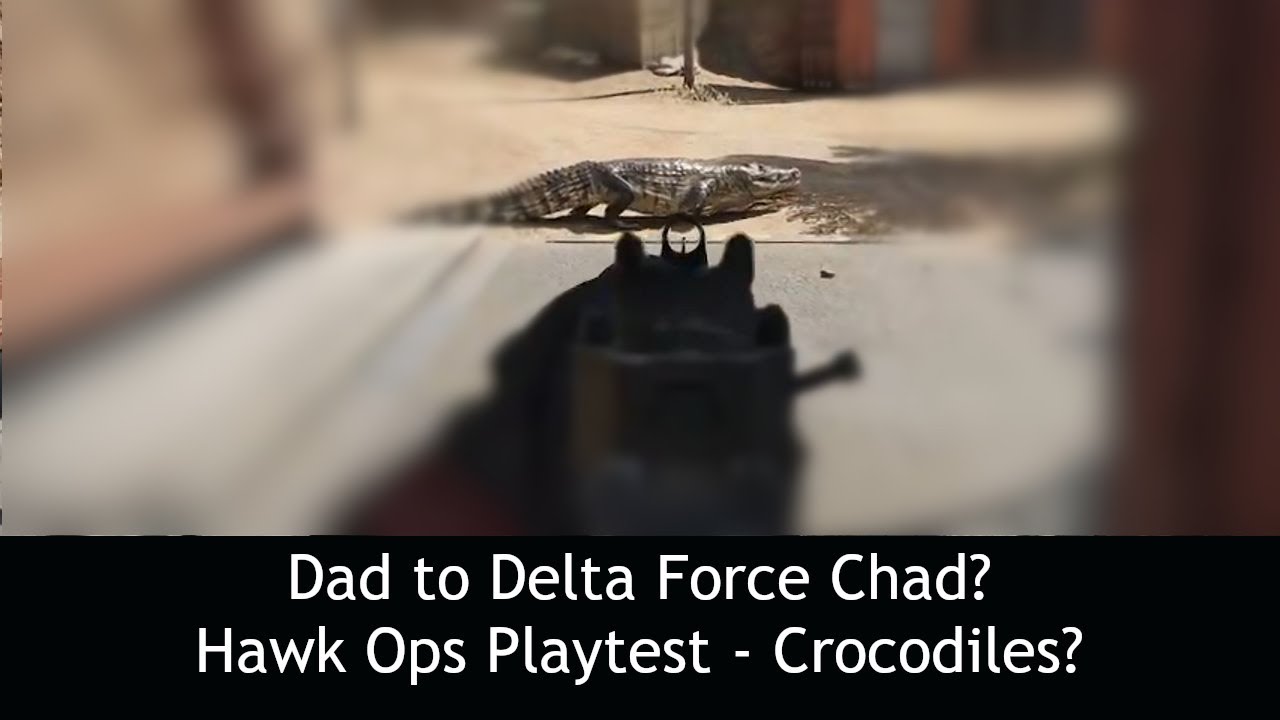 Dad to Delta Force Chad?!?! Hawk Ops Playtest and Impressions ...
