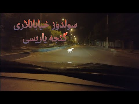 Iran, West Azarbaijan, Naghadeh City، Car Tour at Night, نقده   خیابانلاری گئجه یاریسی