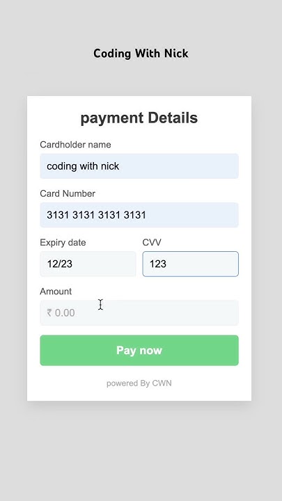 Create A Payment Form With Html Css And Javascript Coding With Nick
