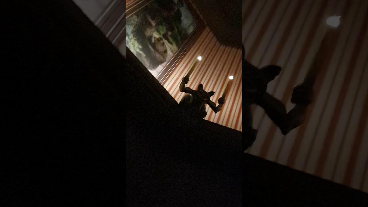 Stretching Room Phantom Manor Disneyland Paris - YouTube