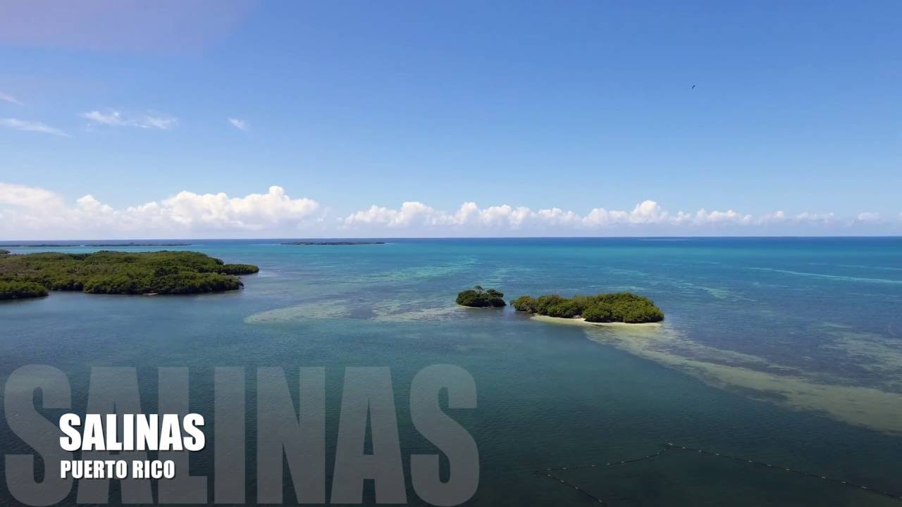 Salinas Bay, Puerto Rico - YouTube
