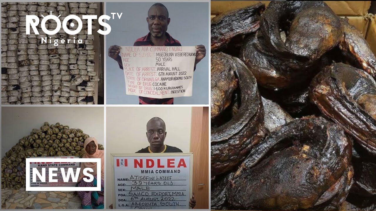 NDLEA uncovers 442 parcels of Crystal Meth in heads of smoked fish ...
