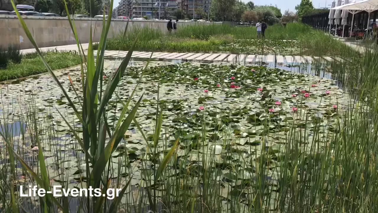 Πάρκο του Νερού στην Θεσσαλονικη - YouTube