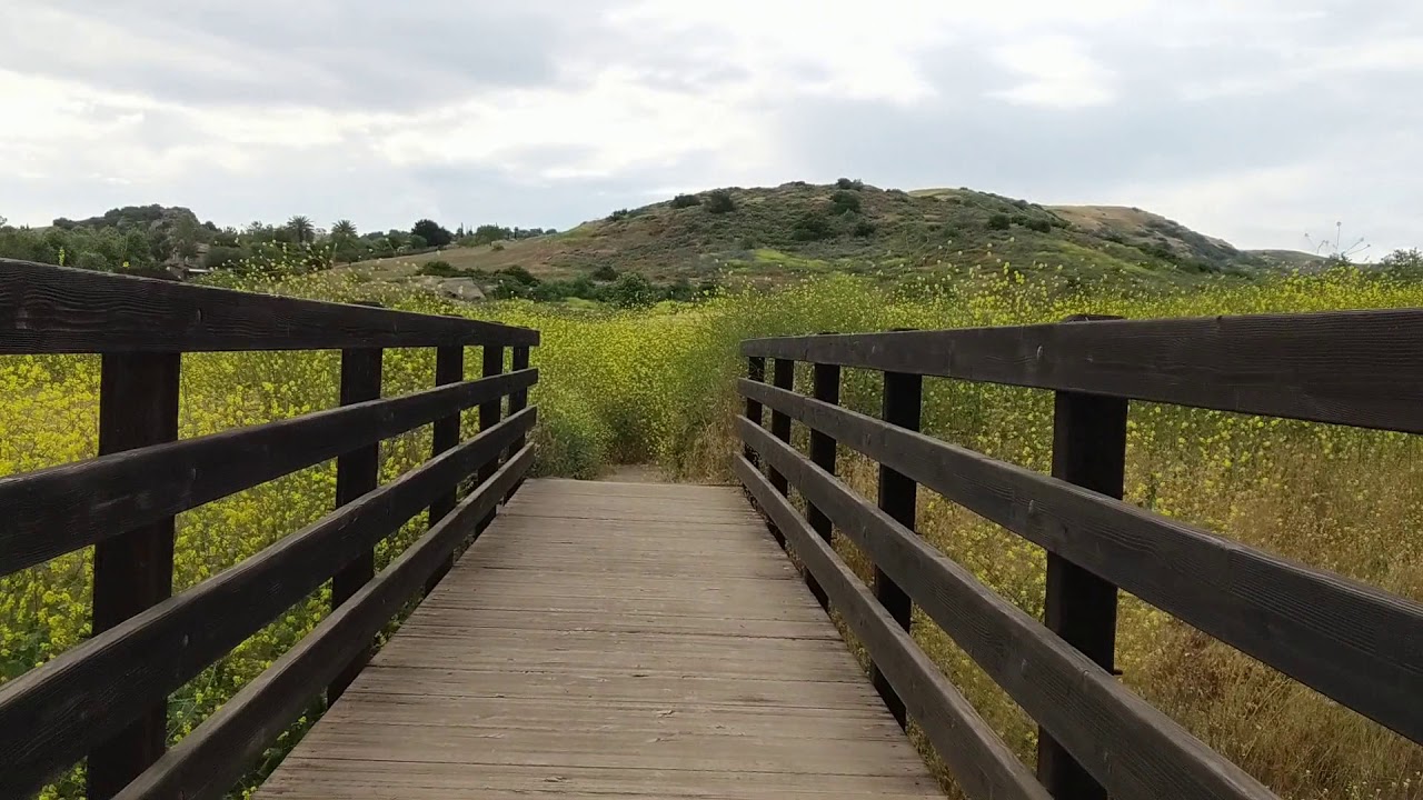 Bommer Canyon and Turtle Ridge Trail in Irvine, CA - YouTube