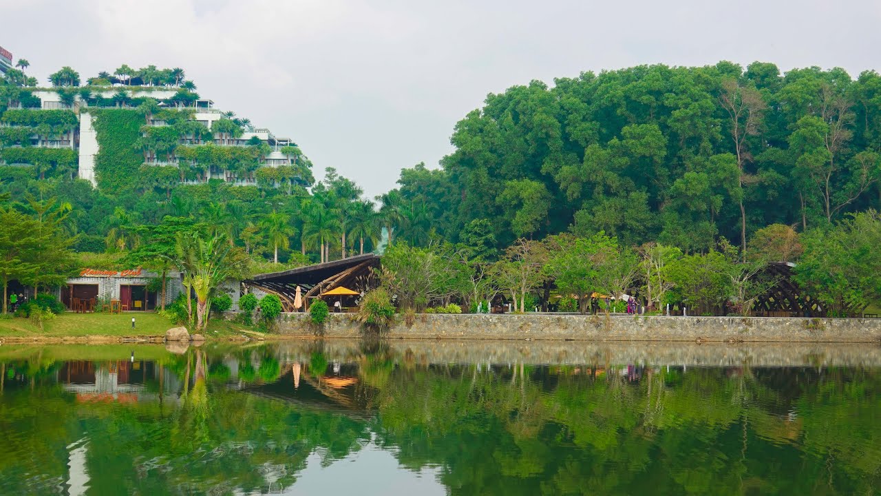 Nhà hàng Bamboo Wings và Forest in the Sky của Flamingo Đại Lải Resort ...