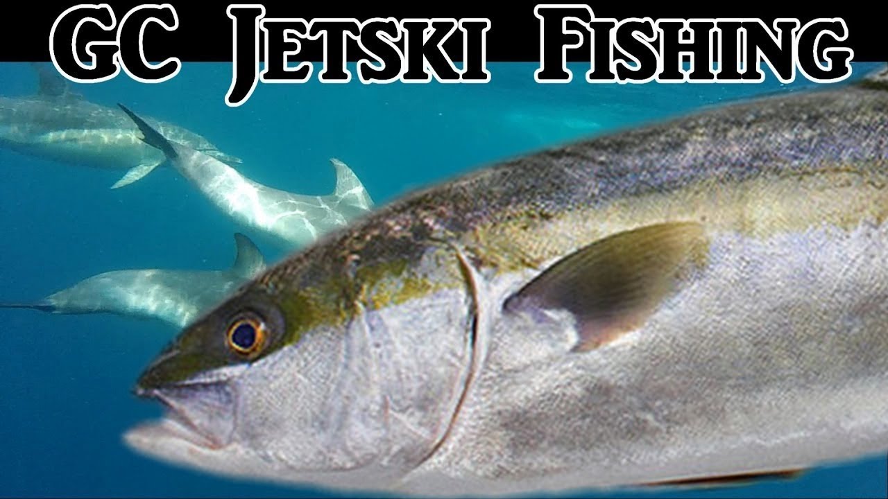 Catching Kingfish 3 techniques Jetski Fishing - YouTube