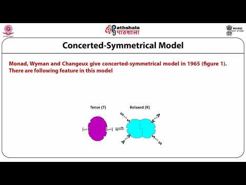 M-15. Allosteric Enzymes, Symmetrical and Sequential model - YouTube
