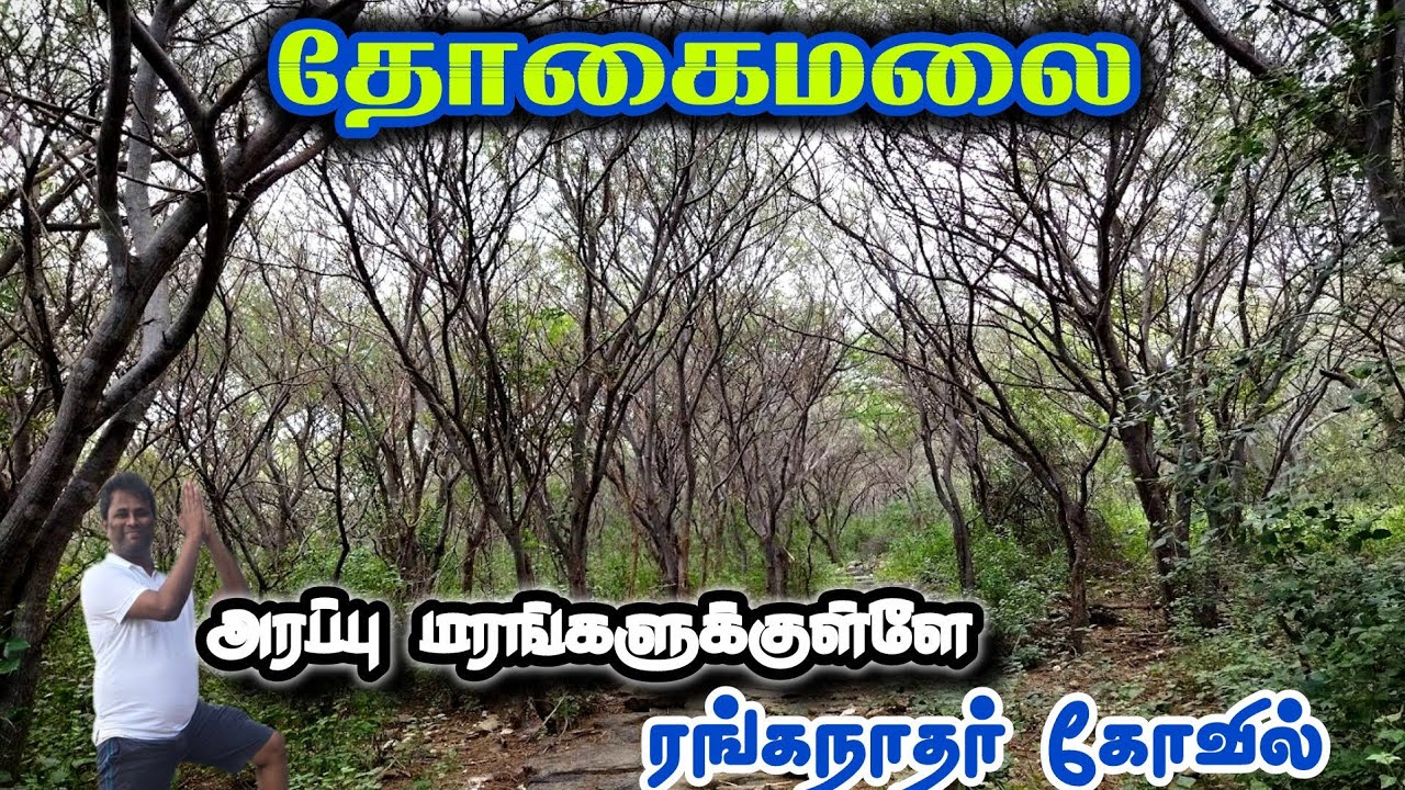 🔥தோகைமலை, ரங்கநாதர் கோவில் கோயம்புத்தூர் | Explore THOGAIMALAI'S Hidden ...