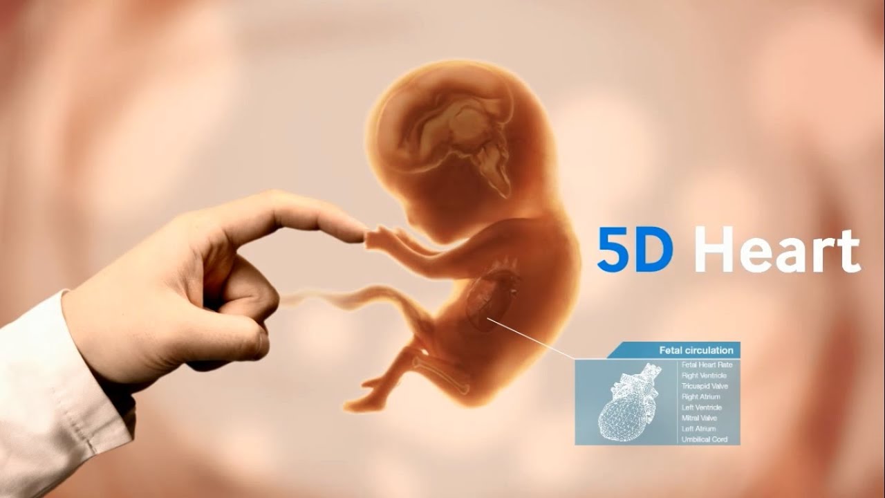 CÔNG NGHỆ 5D HEART - SAMSUNG MEDISON - YouTube