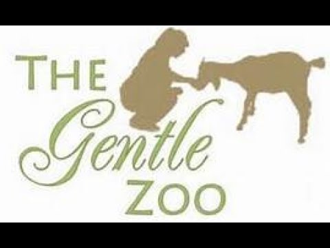 COME CHECK OUT THE GENTLE ZOO IN FORNEY TEXAS! 10-19-19 - YouTube