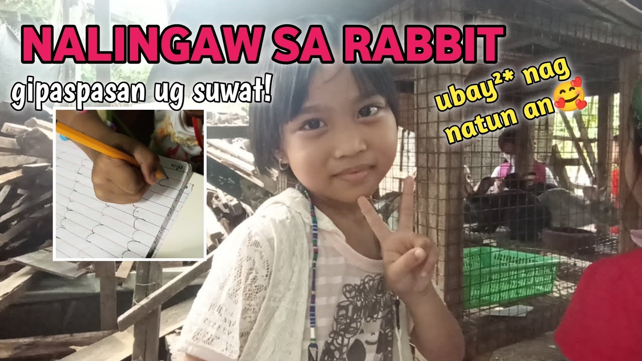 DAY CARE TOUR | NANAN AW UG RABBIT - YouTube