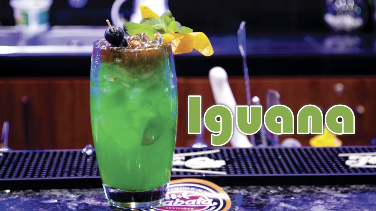 IGUANA - YouTube