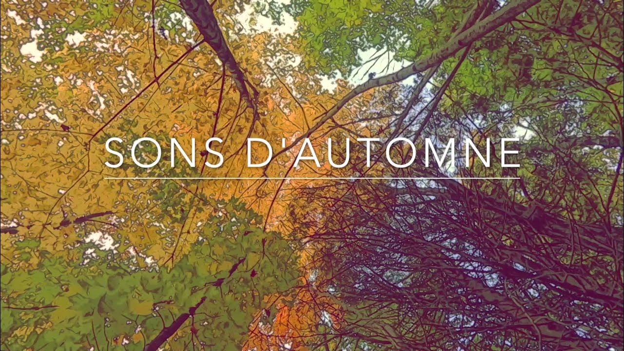 Sons d'automne - YouTube