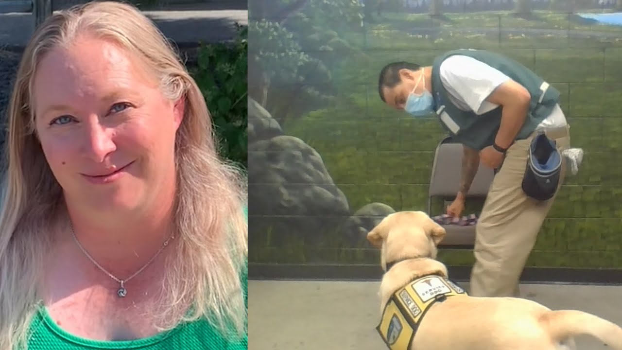 A Glimpse into Brigadoon Service Dogs' Prison Program - YouTube