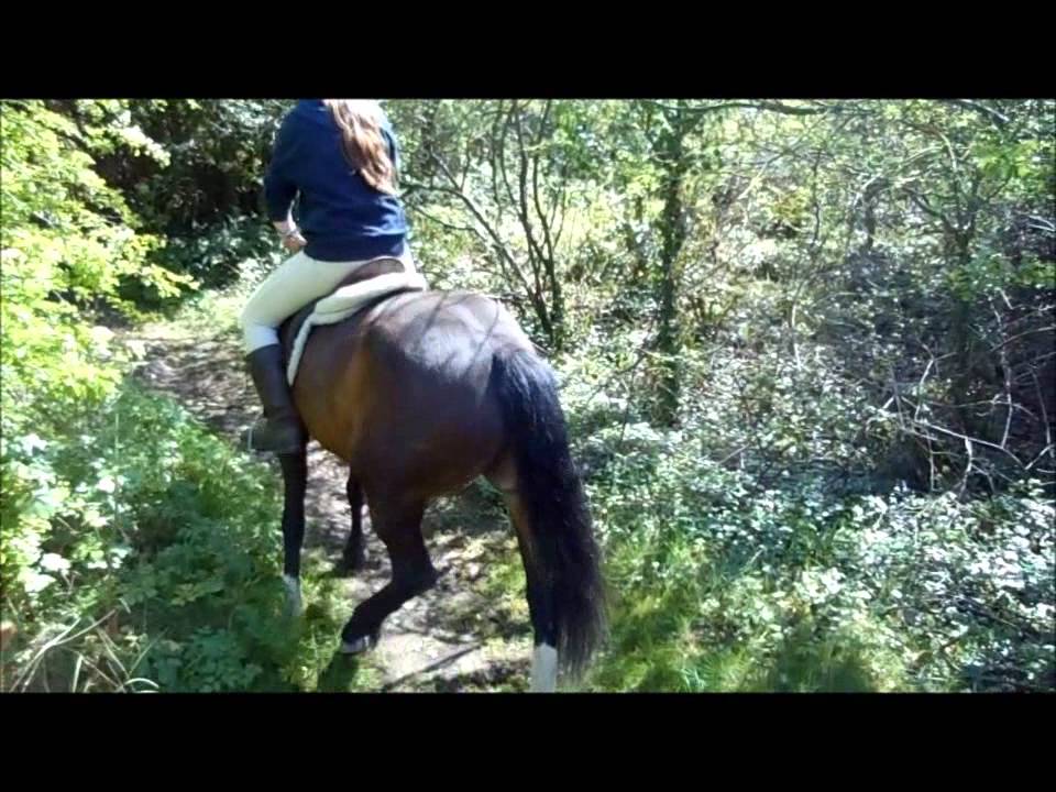 Pony Hacks :) - YouTube