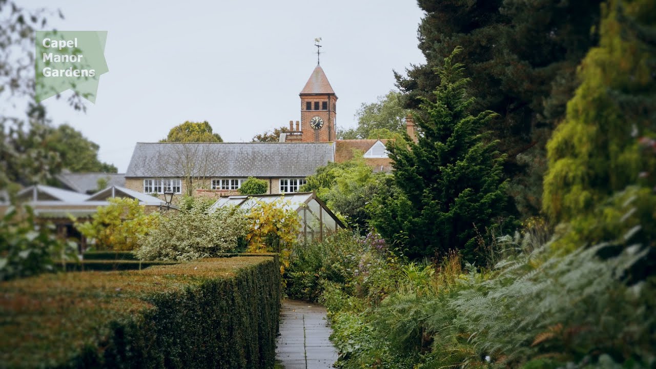 Autumn Colours at Capel Manor - YouTube