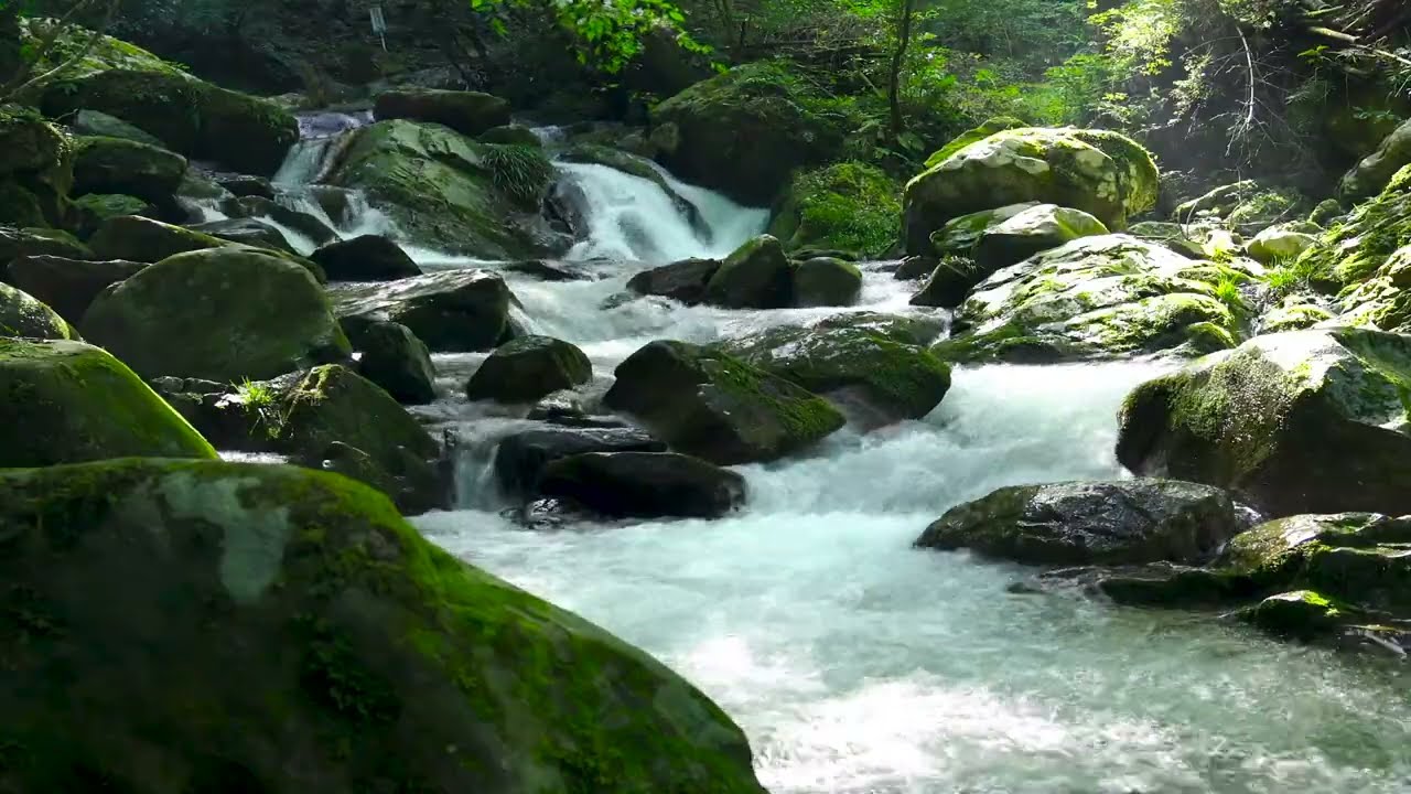 4k Landscape of the Clear Stream flowing. Water Sounds, Mountain Stream ...