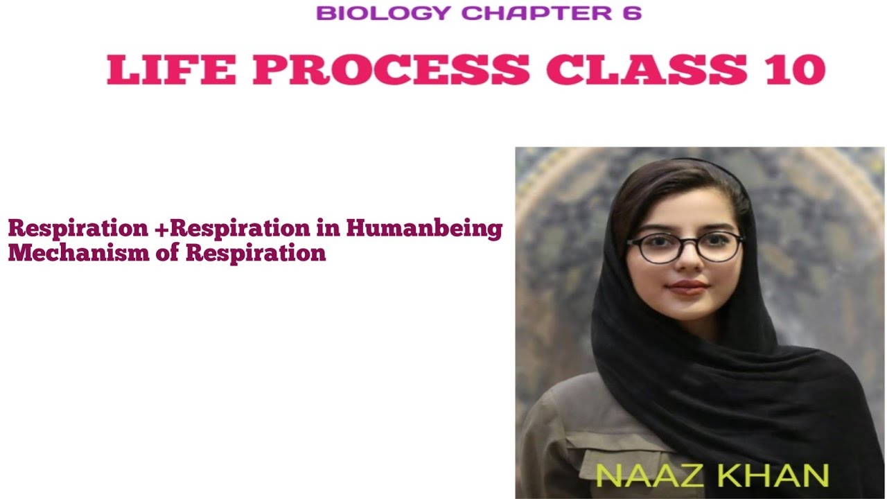 lec-3 Life processes Class 10 Respiration +Respiration in Humanbeing ...