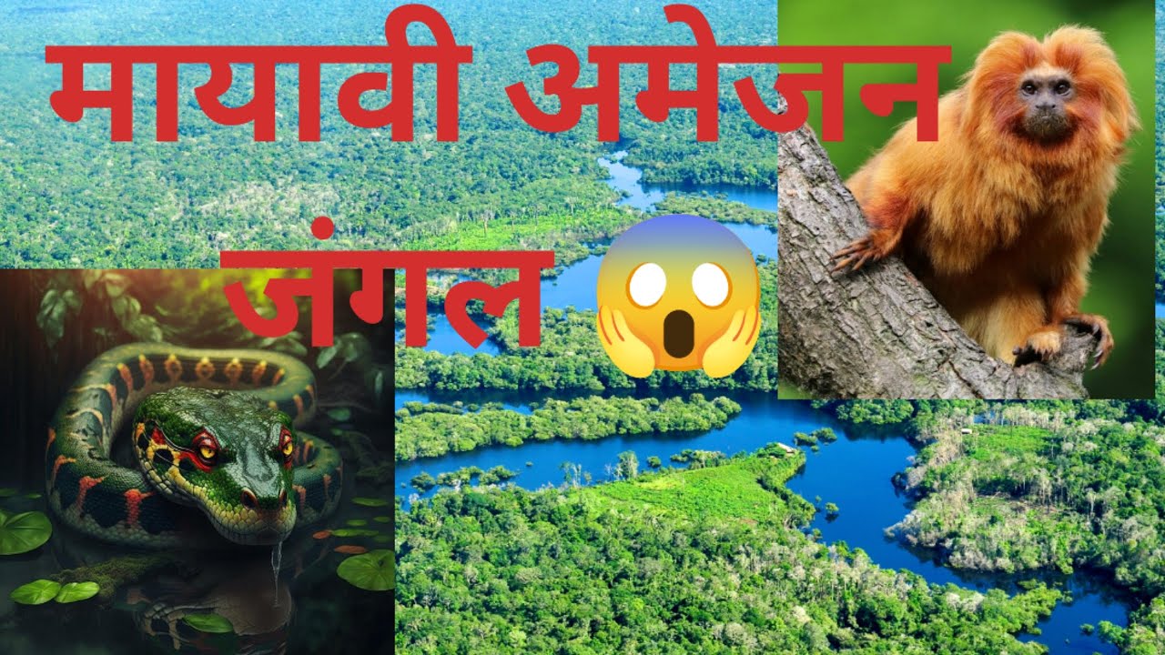 रहस्यों से भरा Amazon Jungle jahan jana yaani maut ke मुंह में जाना 😱😳 ...