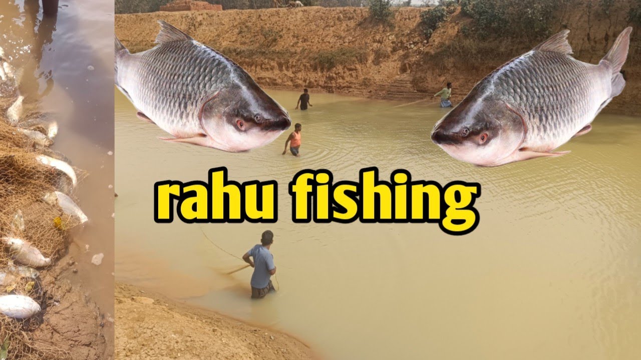 Fishing rahu fishing village fishing video machhali ka video - YouTube
