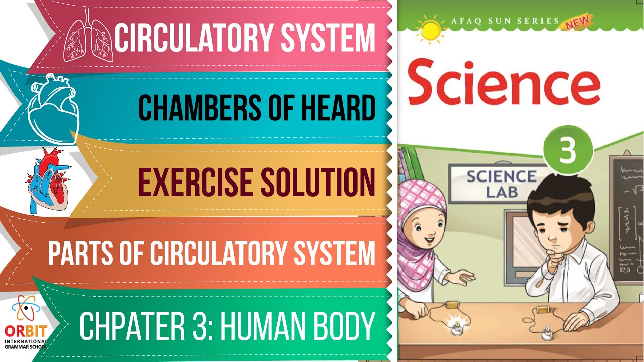 The Circulatory System | Unit 3 Human Body | Science Grade 3 | Afaq Sun ...