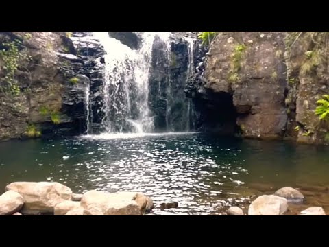 Best Levada do Alecrim - Walks in Rabaçal Paul da Serra Madeira Island