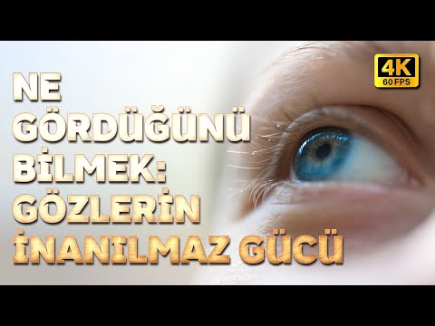 Ne Gördüğünü Bilmek: Gözlerin İnanılmaz Gücü I 4K