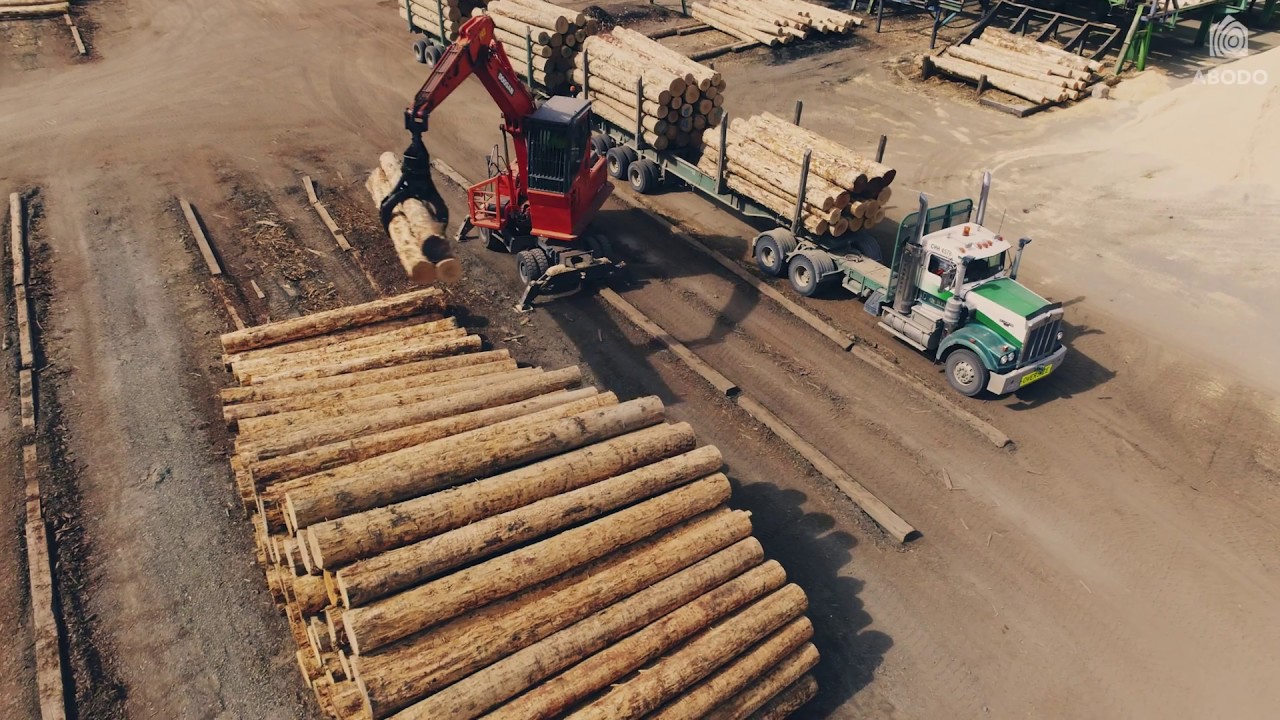 The Future of Wood - The Story of Abodo Eco Timber - YouTube