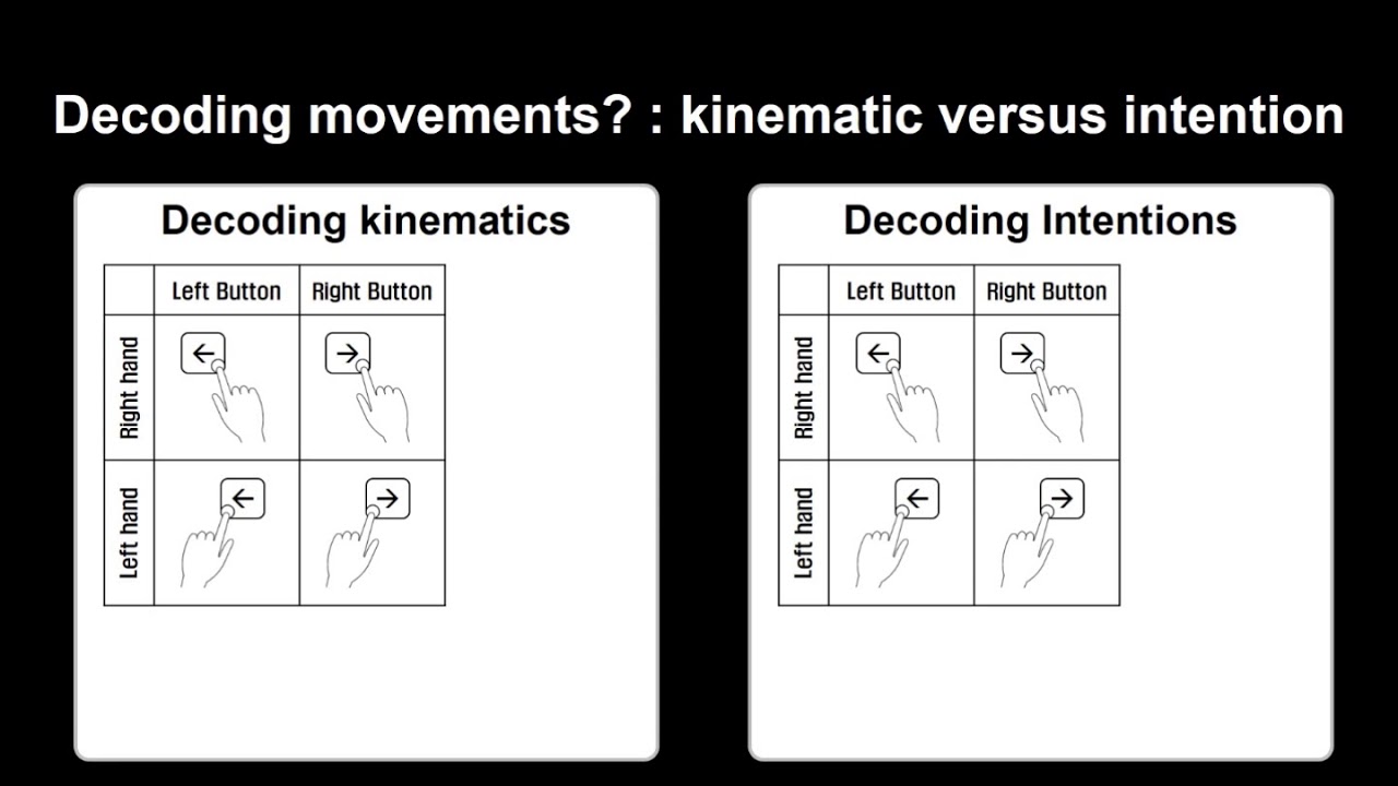 Meta-BCI: Decoding both Learning Strategies and Intention - YouTube