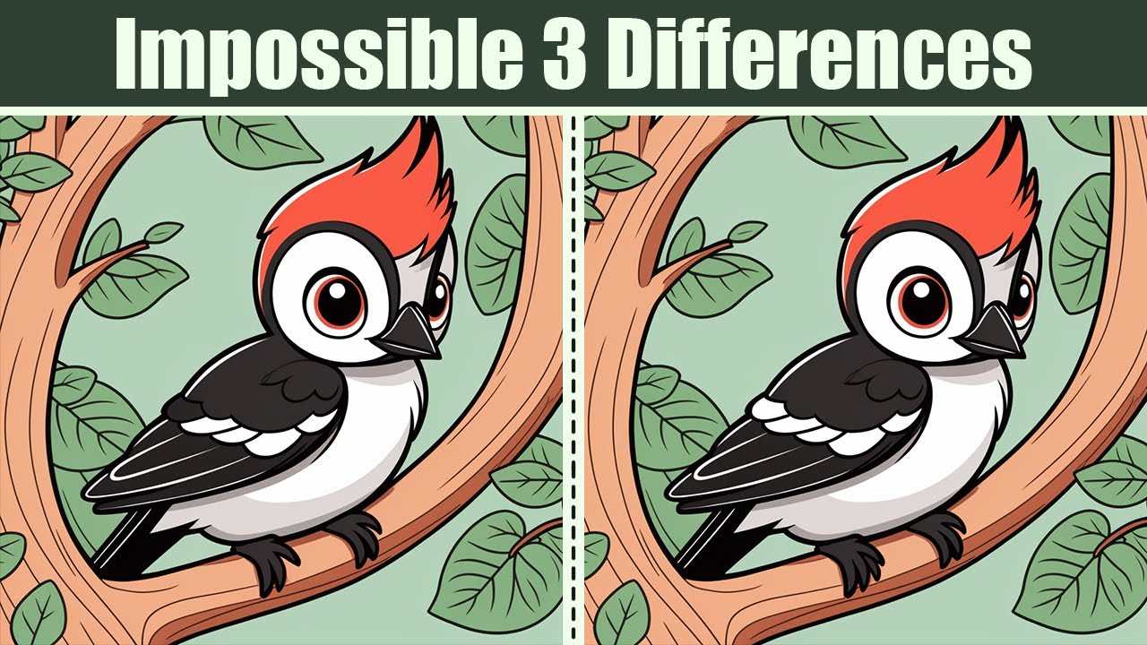 Spot The Difference : Impossible 3 Differences | Find The Difference #127 - YouTube