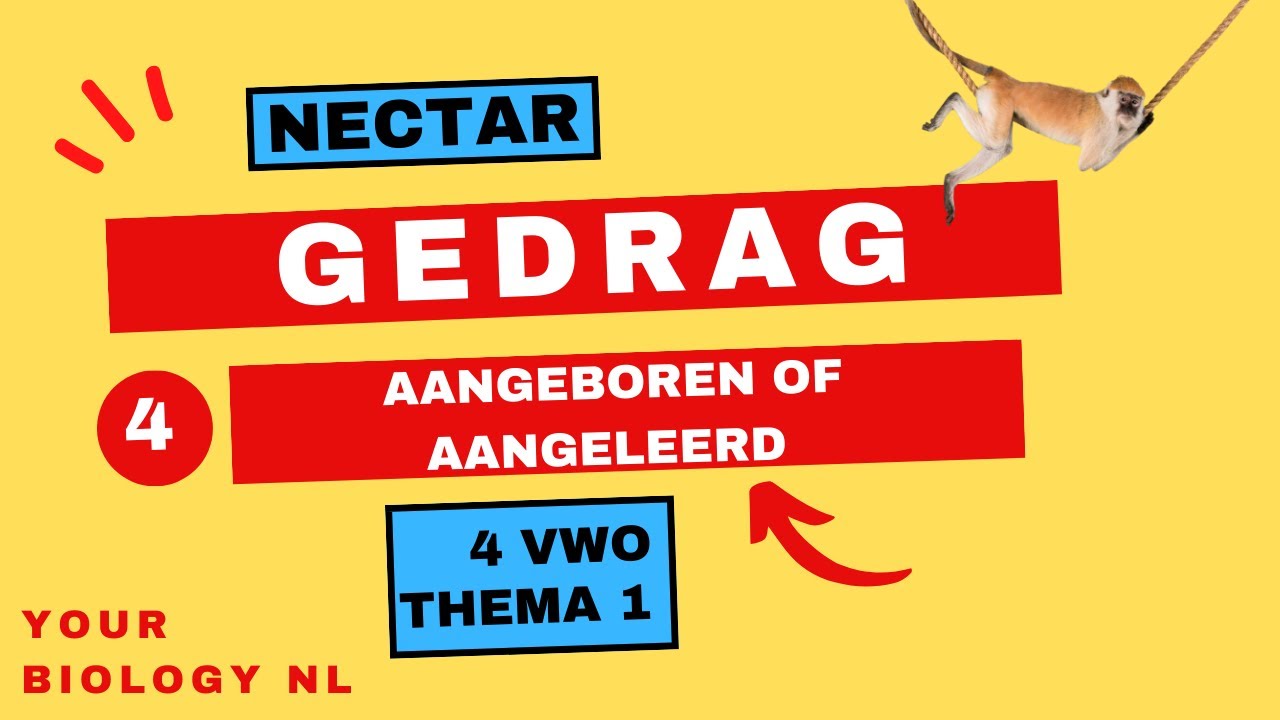 4 vwo | Gedrag | 4 | Aangeboren of aangeleerd - YouTube