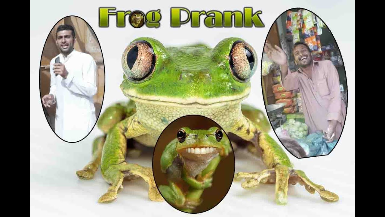 Frog prank shopkeeper - YouTube