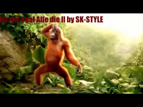 Ein Affe singt is mir egal
